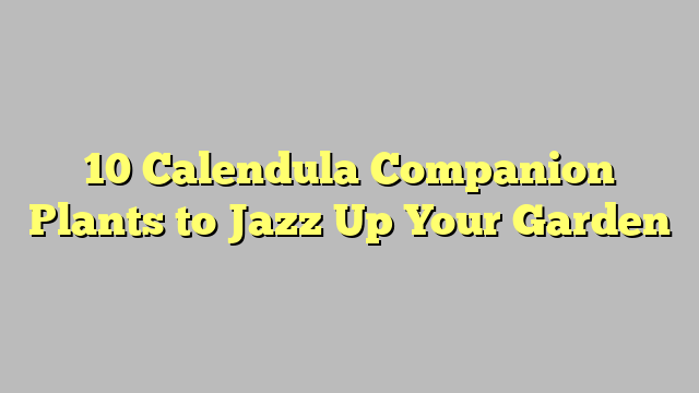 10 Calendula Companion Plants to Jazz Up Your Garden - promguides.com